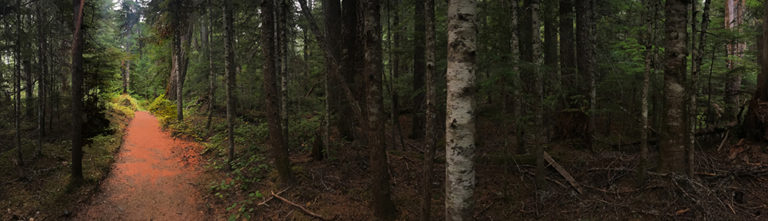 Mount Rainier Facts - Park JunkiePark Junkie Mount Rainier Facts - Park JunkiePark Junkie